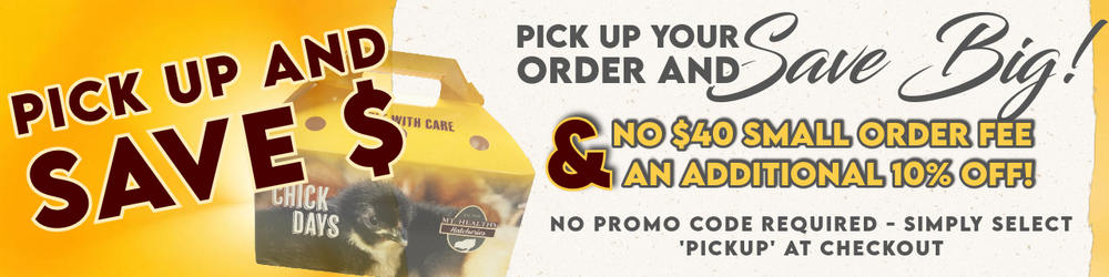 USPS Postage Increase Is Here—What It Means for You